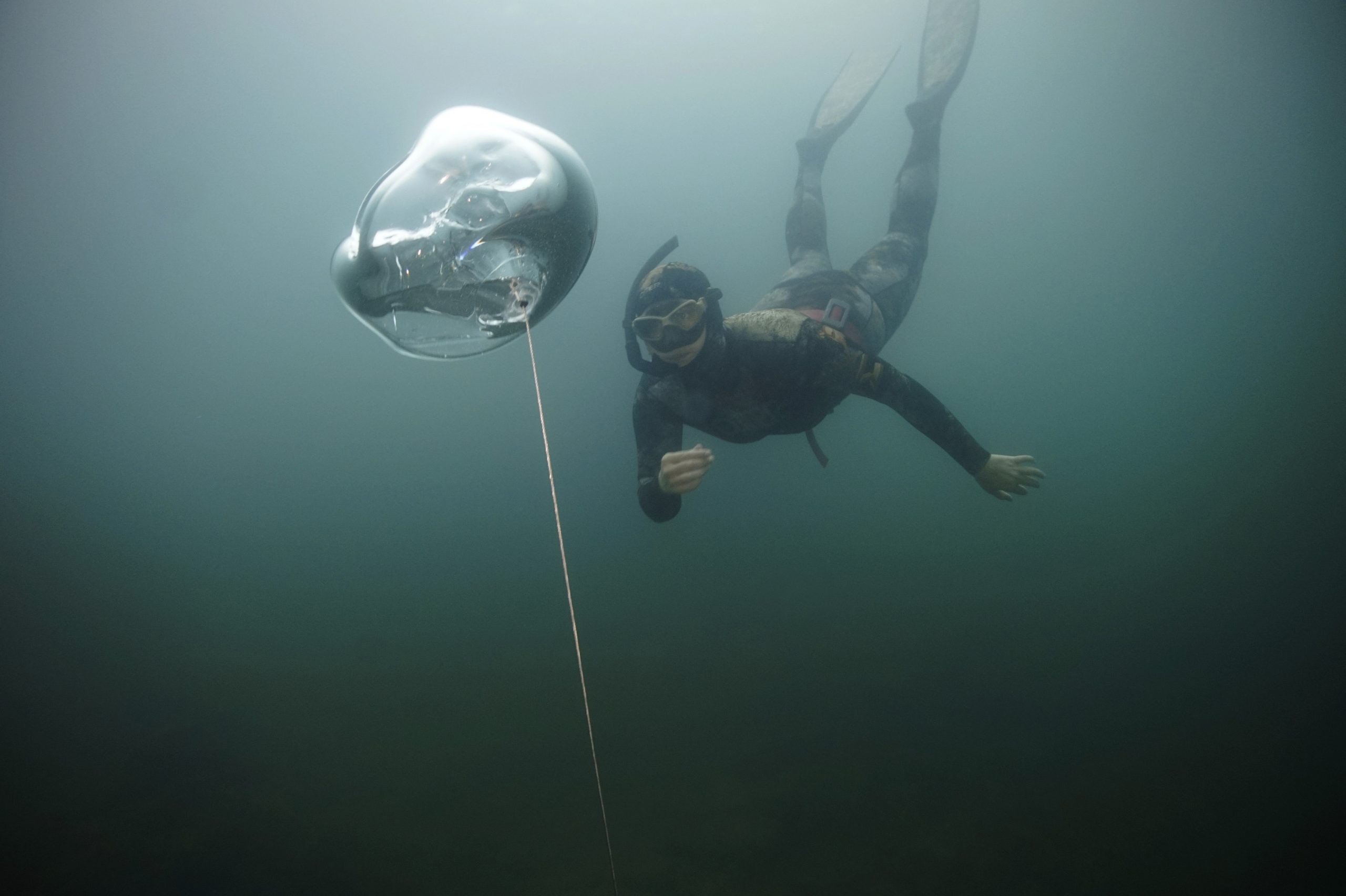 Glass — Estonian Academy of Arts