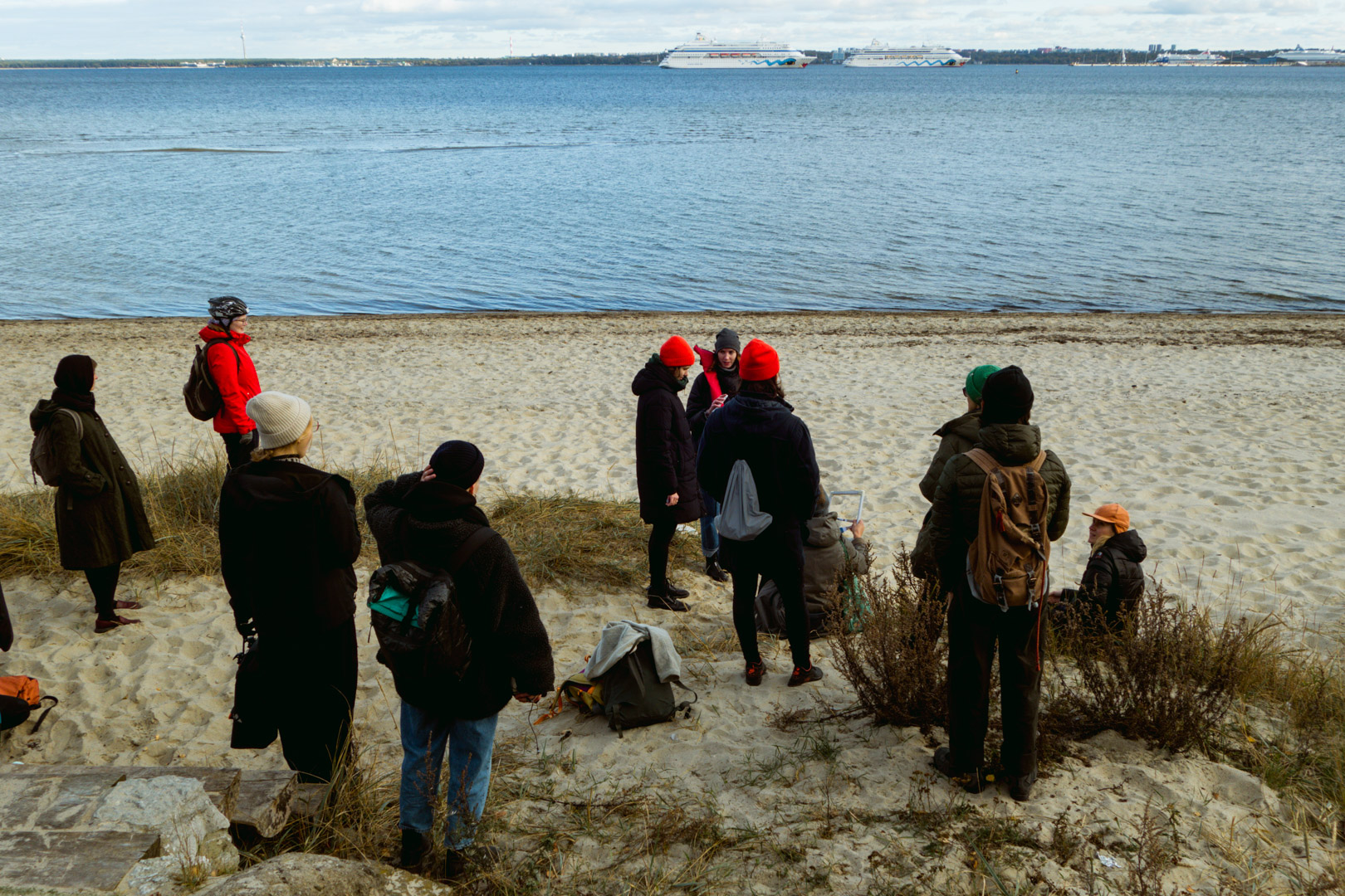 Paljassaare island hopping: Cruising through barren and the bliss ...