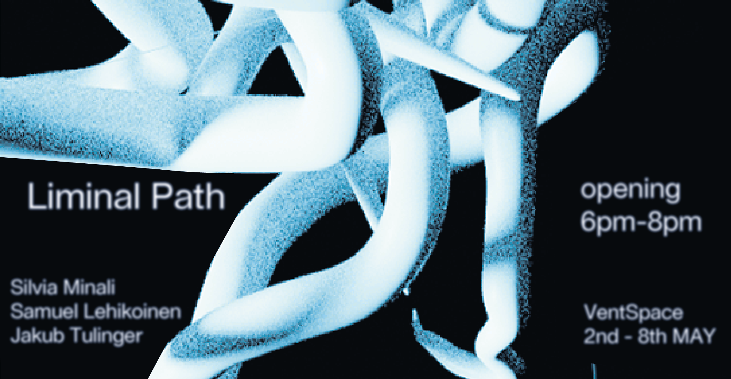 Liminal Path — Estonian Academy of Arts