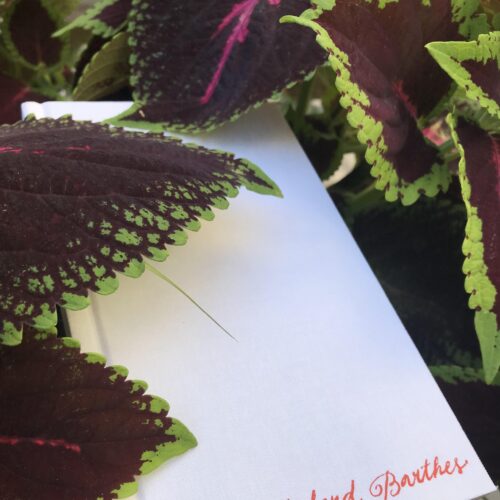 Eesti keeles ilmus Roland Barthes’i “Armudiskursuse katkeid” — Eesti ...