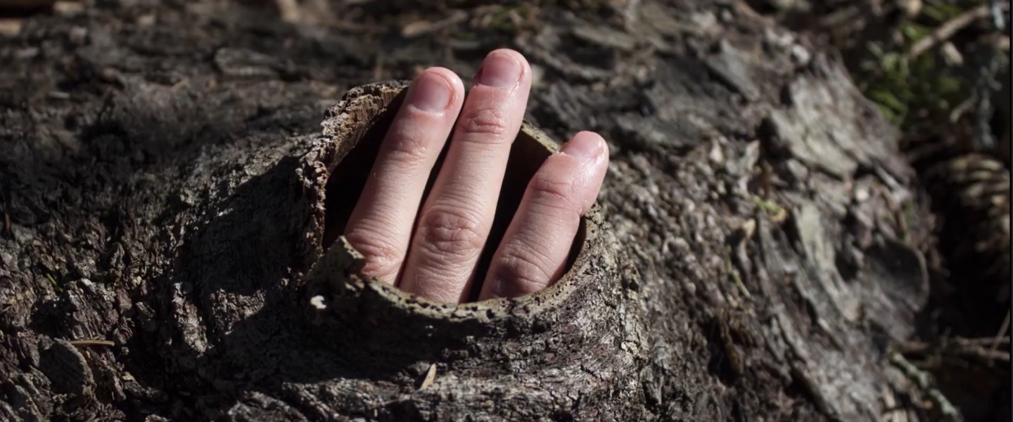 Peer-review of Kadri Liis Rääk’s creative project — Estonian Academy of ...