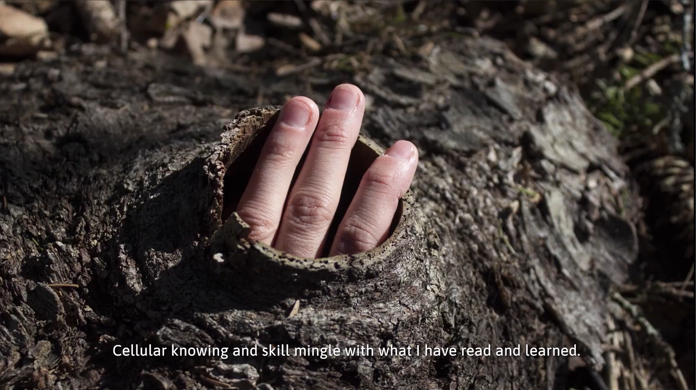 Peer-review of Kadri Liis Rääk’s creative project — Estonian Academy of ...