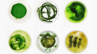 Eesti Kunstiakadeemia — Kunst Disain Arhitektuur Teadus